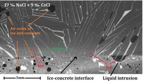 Grey Level Micro Ct Image Cross Section Of Frost Salt Scaling Specimen Download Scientific
