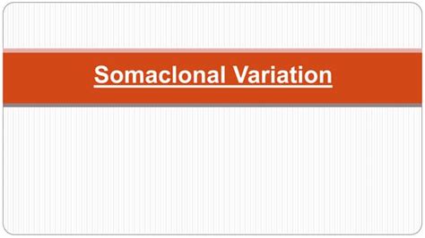 Somaclonal Variation Pptx