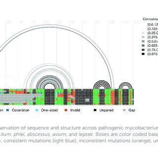 Conservation Of Mul RS01365 Motif 1 Conservation Of Sequence And