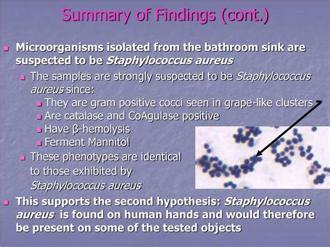 Ppt Transient Flora On Hands As A Vehicle Of Transmission To Food For