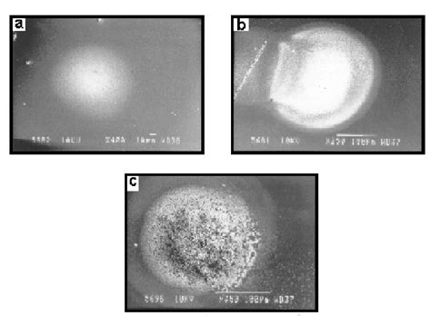 Crystalline Spots Induced In As Grown 5300 Å Thick Amorphous Sb 2 S 3