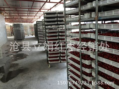 沧州特产金丝小枣 红枣去核鸡心枣本色空心无核枣糕豆浆用批发 阿里巴巴