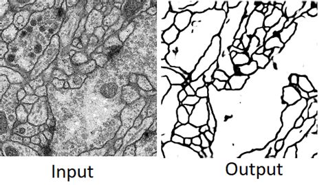 Bài 12 Image Segmentation Với U Net Deep Learning Cơ Bản