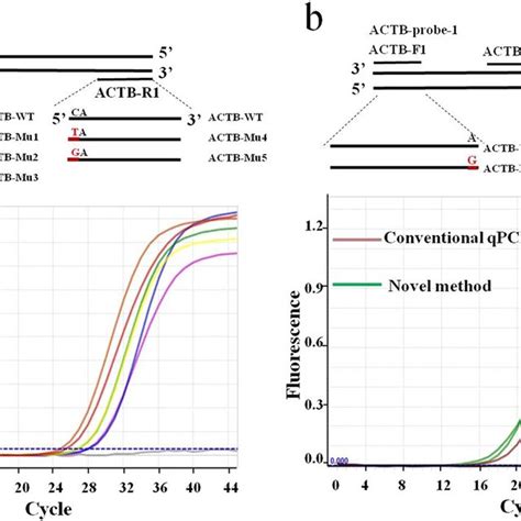 The Influence Of Various Mismatches Between Probe Primer And Template Download Scientific