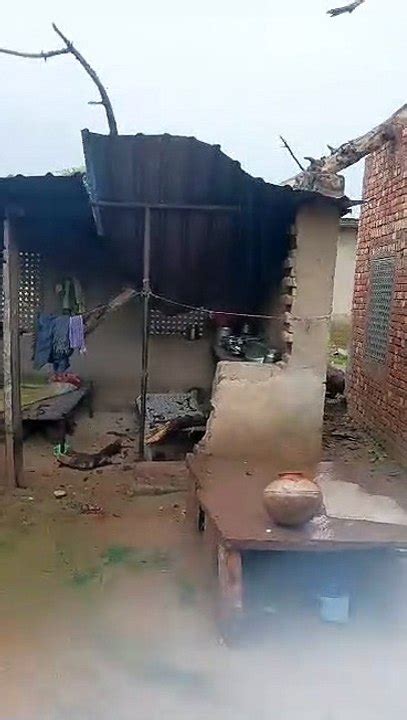 प्रशासन का नकारापन आखिर गिर ही गया गरीब के घर पेड़ बाल बाल बची