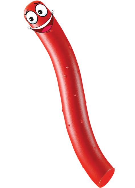 Sour Candy Store Gummy Turtles And Sour Straws Chewz Me Chewzme