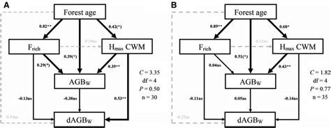 Exploratory A And Confirmatory B Structural Equation Models Testing