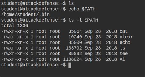 Breaking Out Of Restricted Shell Environment
