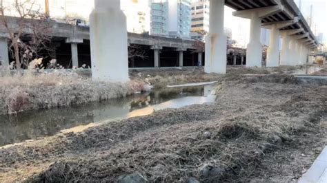 대림 중앙시장 차이나타운 중국음식 먹으러 1인칭시점 Soop Vod