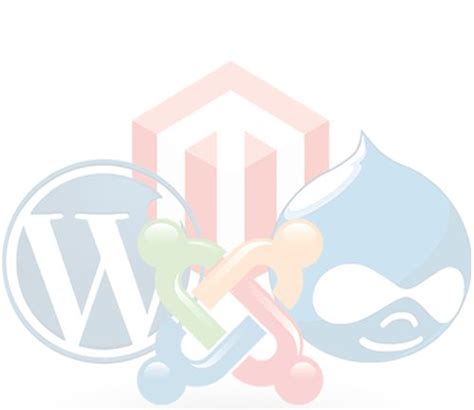 Cms Development Company India Development Website Development Company Website Development