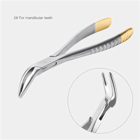 Dental Root Fragment Minimally Invasive Tooth Extraction Forceps Plier