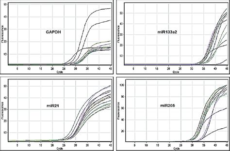 Log Curves Of Qrt Pcr Raw Data In Cycling A Green For Microrna