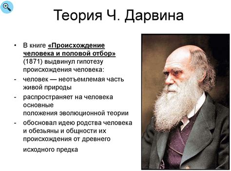 Теория истории жизни