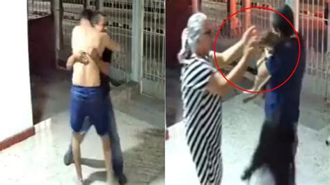 A terna cena de um cachorro perdido que voltou para casa sozinho e sua família chora de emoção