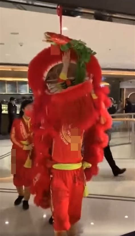 隔窗影相做證狗狗好奇望鏡頭 男女帶狗搭巴士網民唔like｜juicy叮 新冠疫情專頁