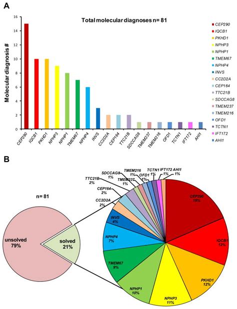 Large Scale Targeted Sequencing Comparison Highlights Extreme Genetic Heterogeneity In