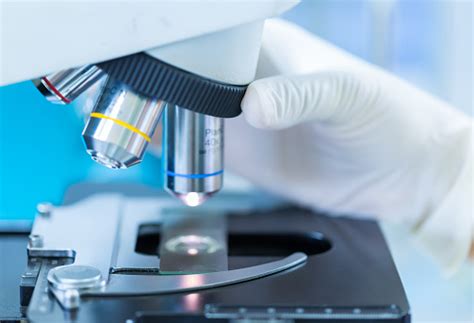 과학자는 실험실 개념 과학 및 기술에 현미경을 사용 하 여 Dna에 대한 스톡 사진 및 기타 이미지 Dna Stem 주제 건강관리와 의술 Istock