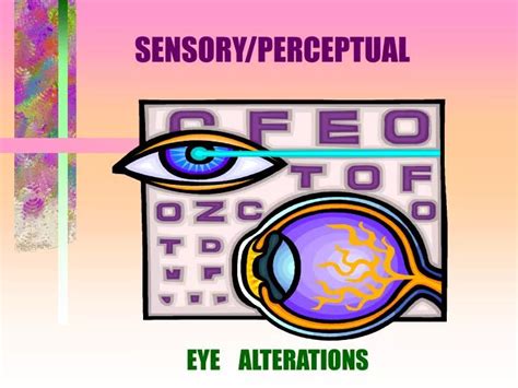 Ppt Sensoryperceptual Powerpoint Presentation Free Download Id