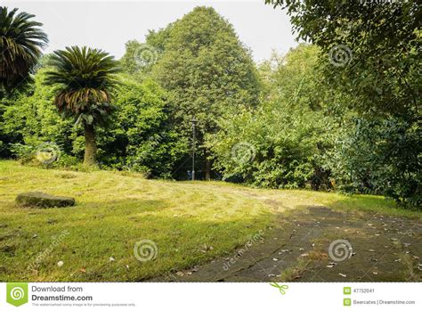 Curving Flagstone Pavement In Grassy Lawn On Sunny Day Stock Image Image Of Green Pavement