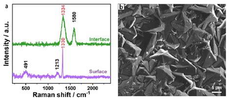 Structure Of Bdd Electrode A Raman Spectra B Sem Image