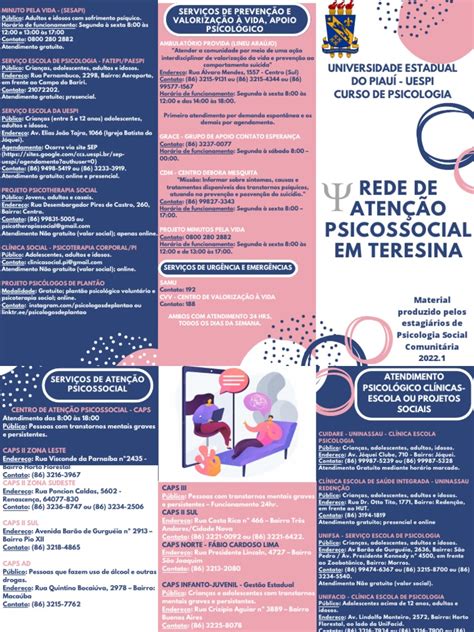 Folder Rede De Atenção Psicossocial Teresina 1 Pdf