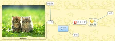 Cat Xmind Mind Mapping Software