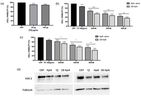 Ijms Special Issue Targeted Therapies And Molecular Methods In Cancer