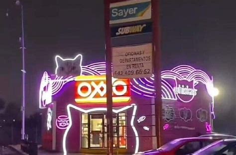 El Impactante Michi Oxxo De QuerÉtaro Una Experiencia Única Que
