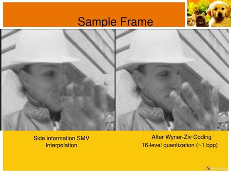 ppt wyner ziv coding of motion video powerpoint presentation free