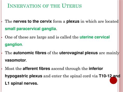 Ppt Uterus Powerpoint Presentation Free Download Id3108982