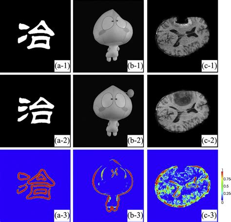 Jsm Examples With Color Scale Representing Different Joint Saliency