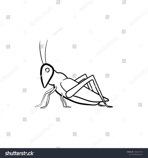 Grasshopper Doodle Hand Drawing Vector Stock Vector Royalty Free