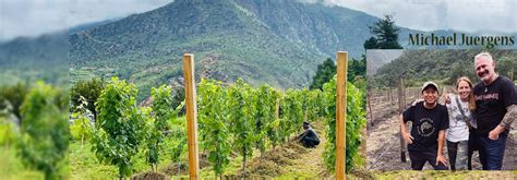The Magical Bhutan Wine Company On The Wine Road