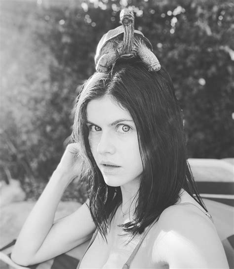 Alexandra Daddario Pussy Print Weirdness Of The Day