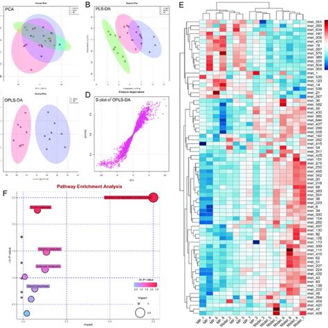 Liver Metabolomic Analyzed With Uplc Qtof Ms A Pca Score Plot B