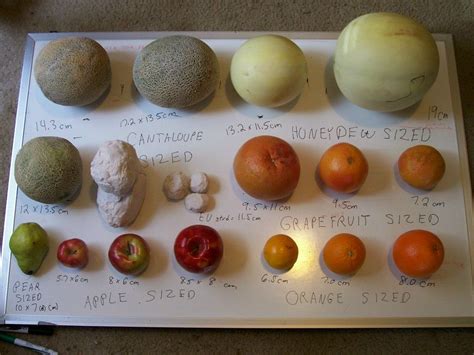 Fibroid Sizes Chart In Mm Pin On Healthy Tidbits