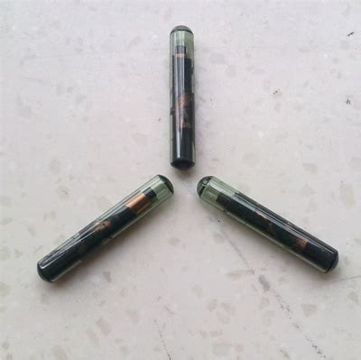 RFID Microchip At 88 Piece Rus Naya Road New Delhi ID 12901843662