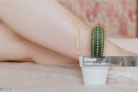 가시선 옆에 있는 신의 피부에서 설탕을 뿌린 페이스트가 쏟아져 나왔다 가시 바늘이 있는 녹색 선인장은 매끄러운 다리의 배경에
