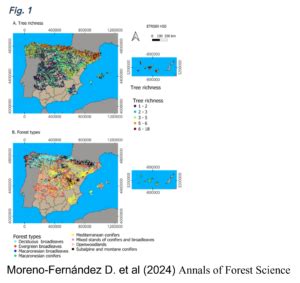 Nested Plot Designs Used In Forest Inventory Do Not Accurately Capture Tree Species Richness In