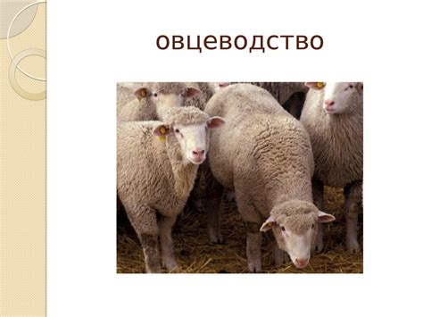 Виды животноводства - online presentation