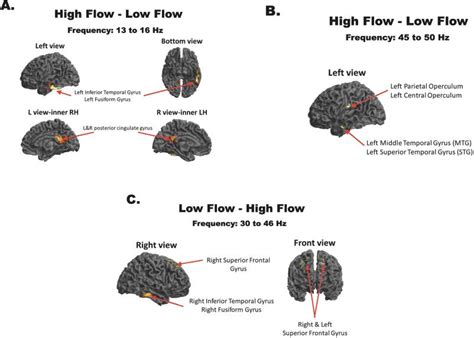 The Secret Rhythms Of The Brain Unlocking The Flow State By Oguzhan
