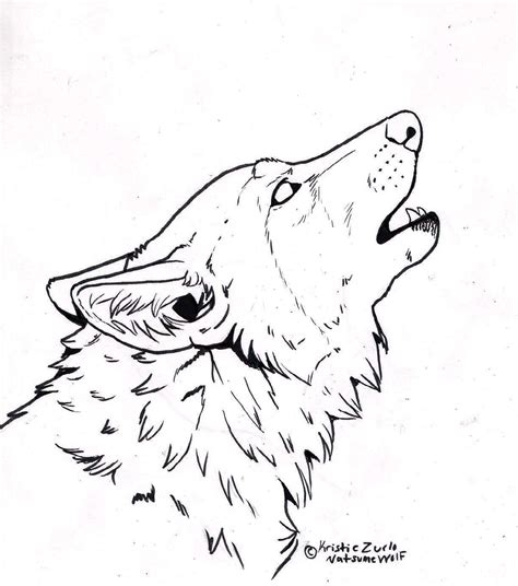 100 Desenhos De Lobo Para Colorir E Imprimir