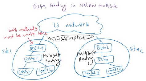 13 VXLAN EVPN Multisite Solutions RAYKA Are You A Network Engineer