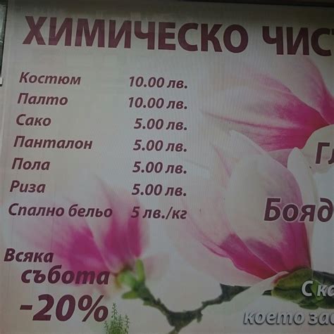 Химическо Чистене Магнолия Sofia