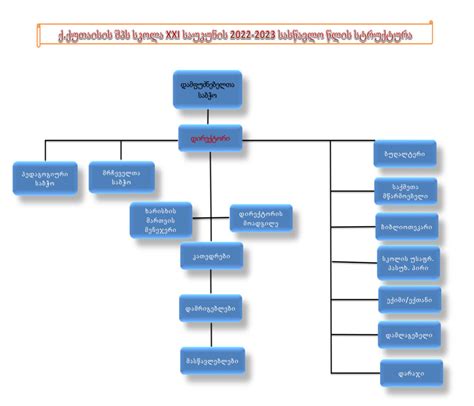 სკოლის სტრუქტურა შპს სკოლა Xxi საუკუნე