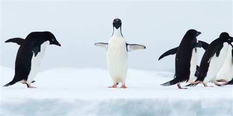 Kernel Fs Ext4 Xattr C At Master OpenSUSE Kernel GitHub