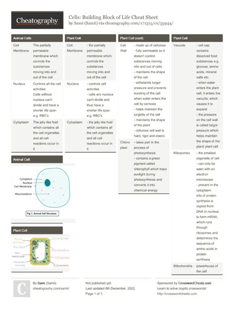 cells building block of life cheat sheet by samii download free from