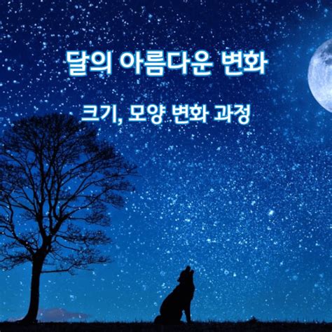달의 아름다운 변화 크기 모양 변화 과정