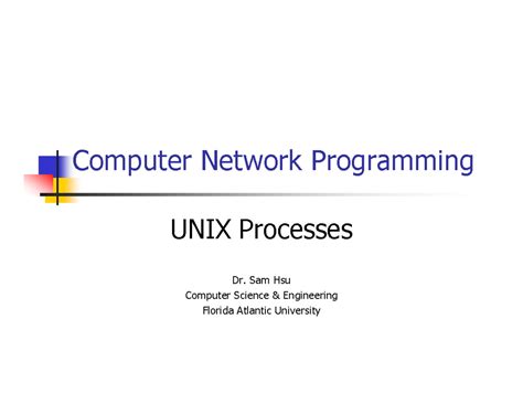 ProcessUNIX Processes Computer Network Programming UNIX Processes Dr Sam Hsu Computer Science