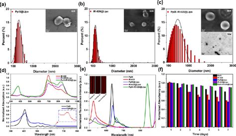 Hydrodynamic Size Distributions Of A Ppix Lipo Nps B Ir 820 Lipo Download Scientific
